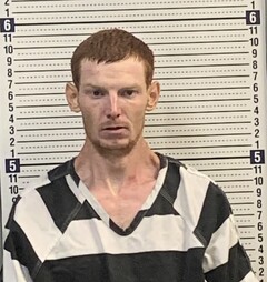 Inmate Roster - Released Inmates - Greene County AR Sheriff's Office